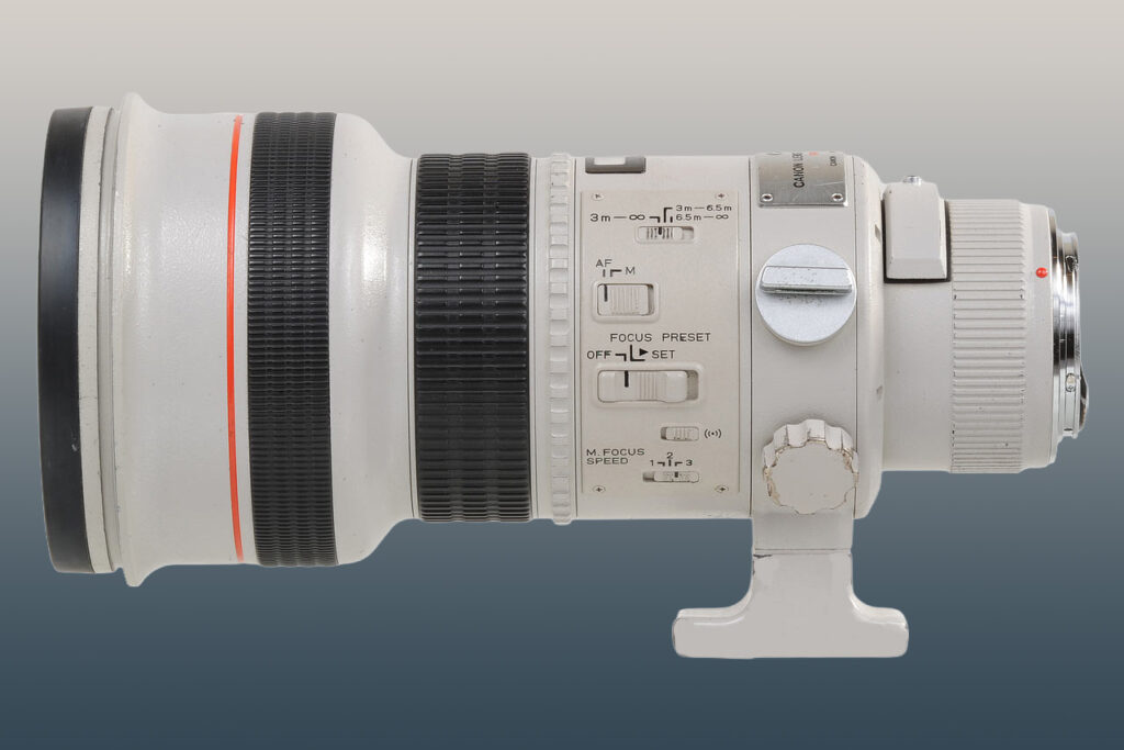 Canon EF 300mm f/2.8 L USM - Review & field test